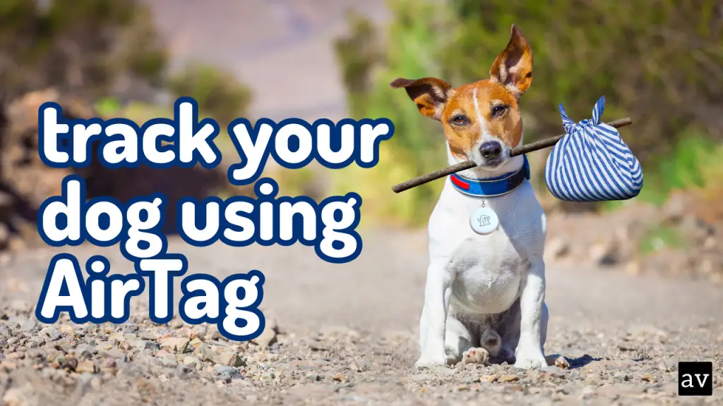 Can I Use Apple AirTag To Track My Dog A Good Pet Tracker Can I Use Apple AirTag To Track My Dog A Good Pet Tracker